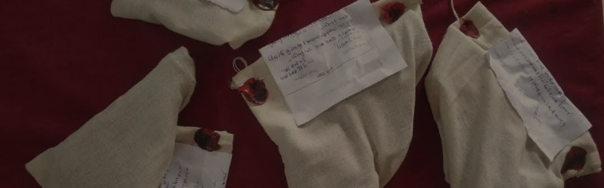 Chain of Custody | NATIONAL MUSEUM OF FORENSIC SCIENCE